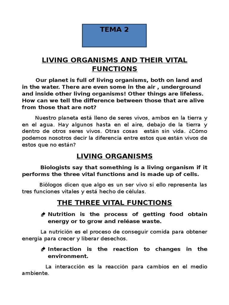 Living Organisms and Their Vital Functions | PDF | Plantas | Semilla