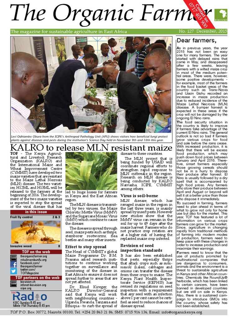 KALRO To Release MLN Resistant Maize: Dear Farmers | PDF | Social ...