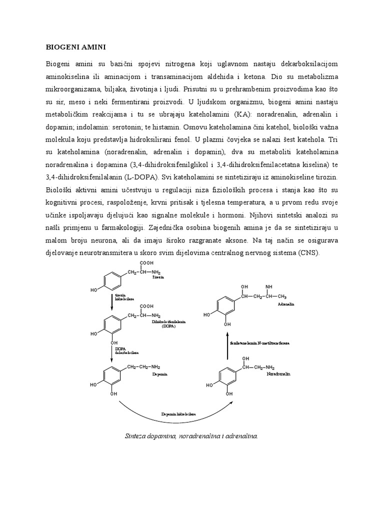 Biogeni Amini | PDF