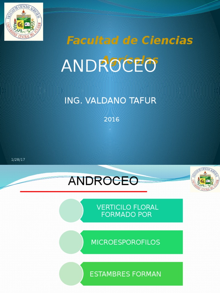 Androceo y Gineceo | PDF | Sistema reproductivo | Técnicas hortícolas
