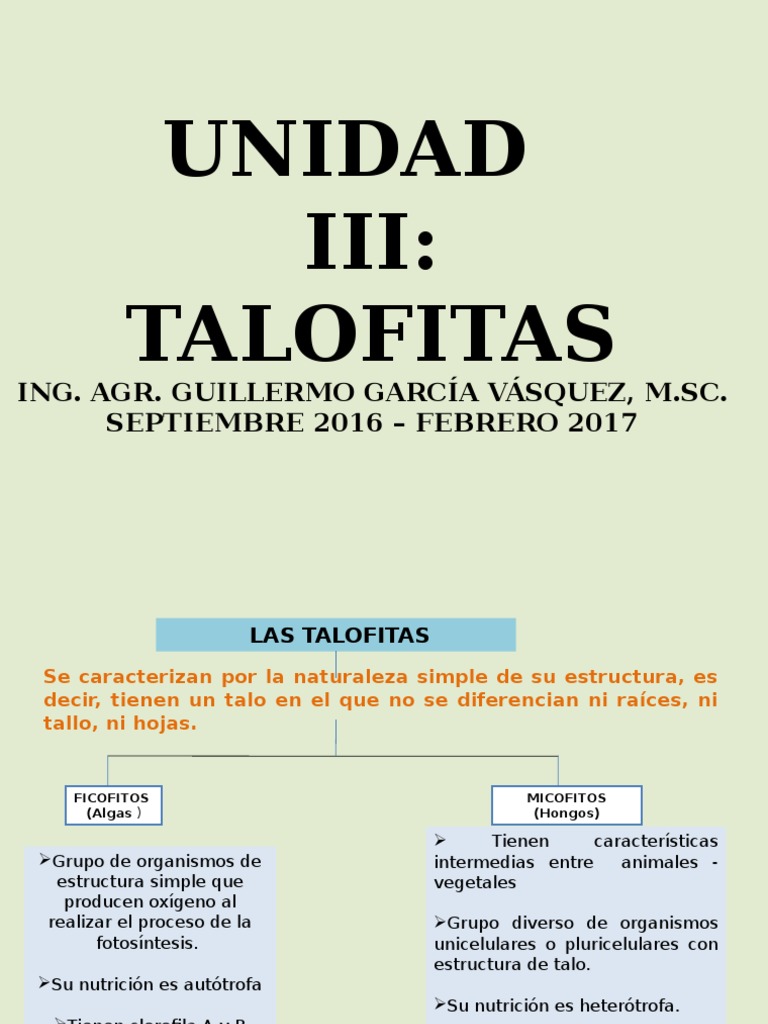 U 3 Talofitas Clases | PDF
