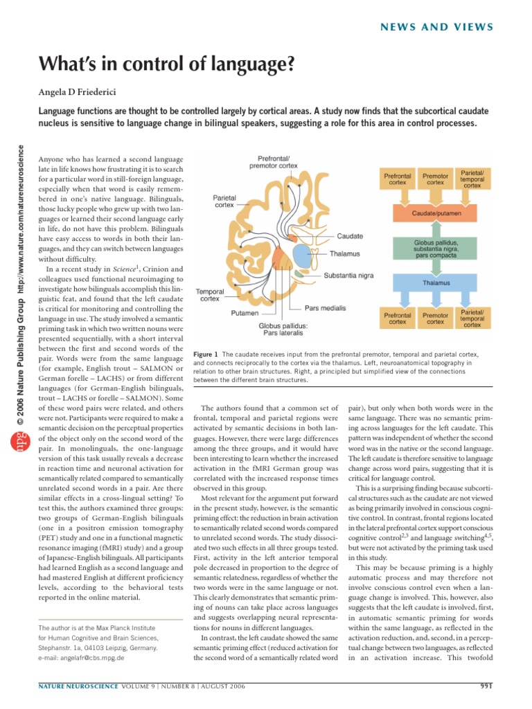 What's in Control of Language?: Angela D Friederici | PDF | Priming ...