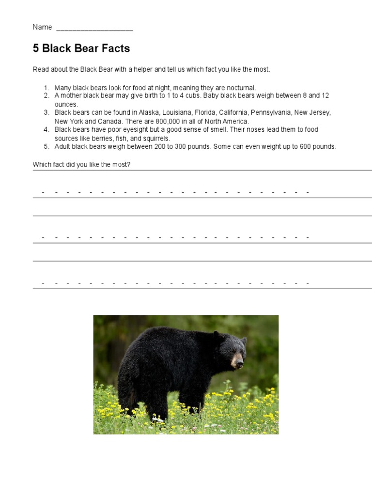 Blackbearfacts Accompanyingworksheet | PDF