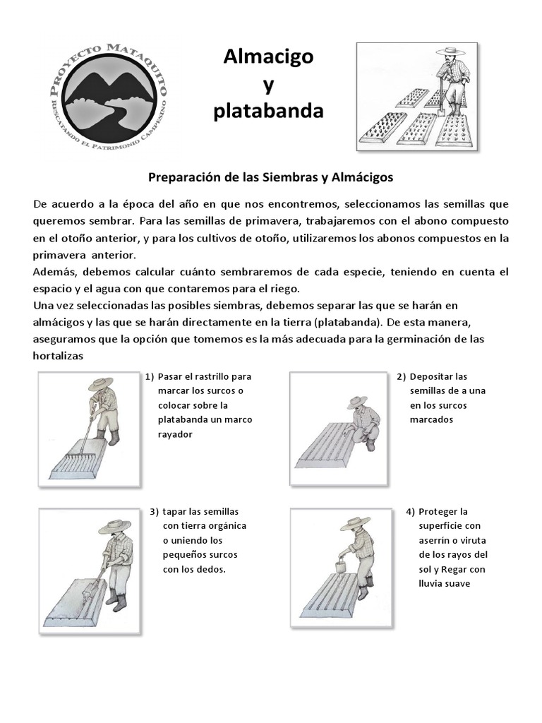 Cultivos - Almacigo y Platabanda PDF | PDF | Siembra | Agronomía