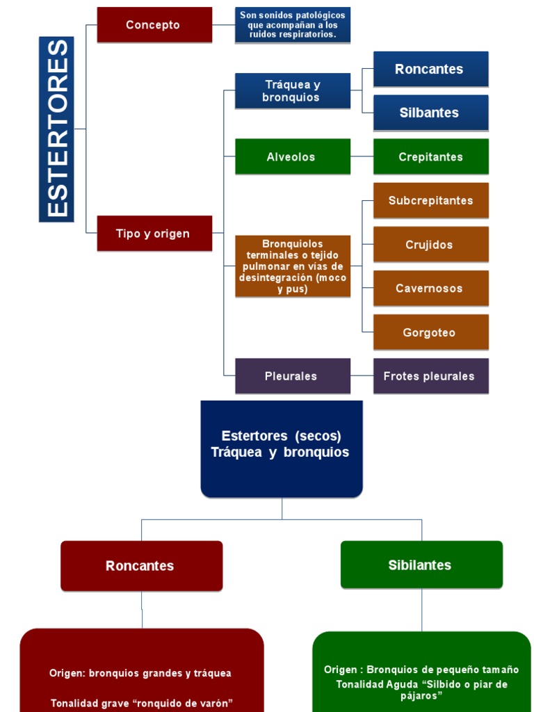Respiratorio y estertores | Tos | Pulmón