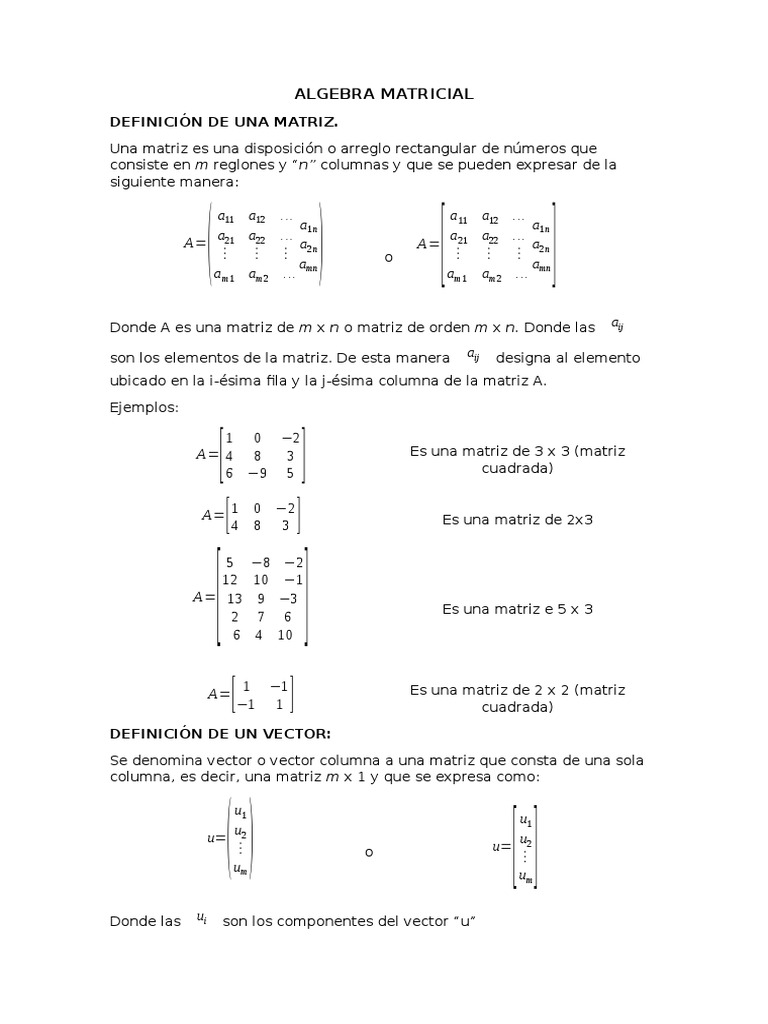 Algebra Matricial | PDF | Matriz (Matemáticas) | Vector Euclidiano