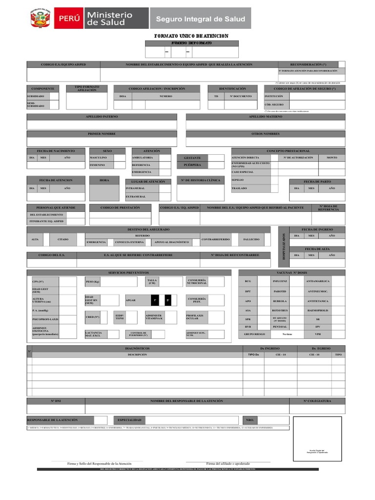Formato de Atencion Sis | PDF