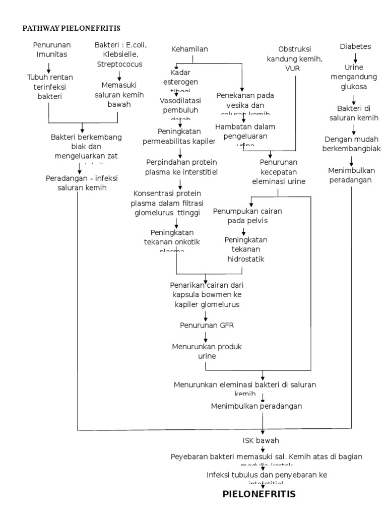 Pathway Pielonefritis dan Patofisiologinya | PDF