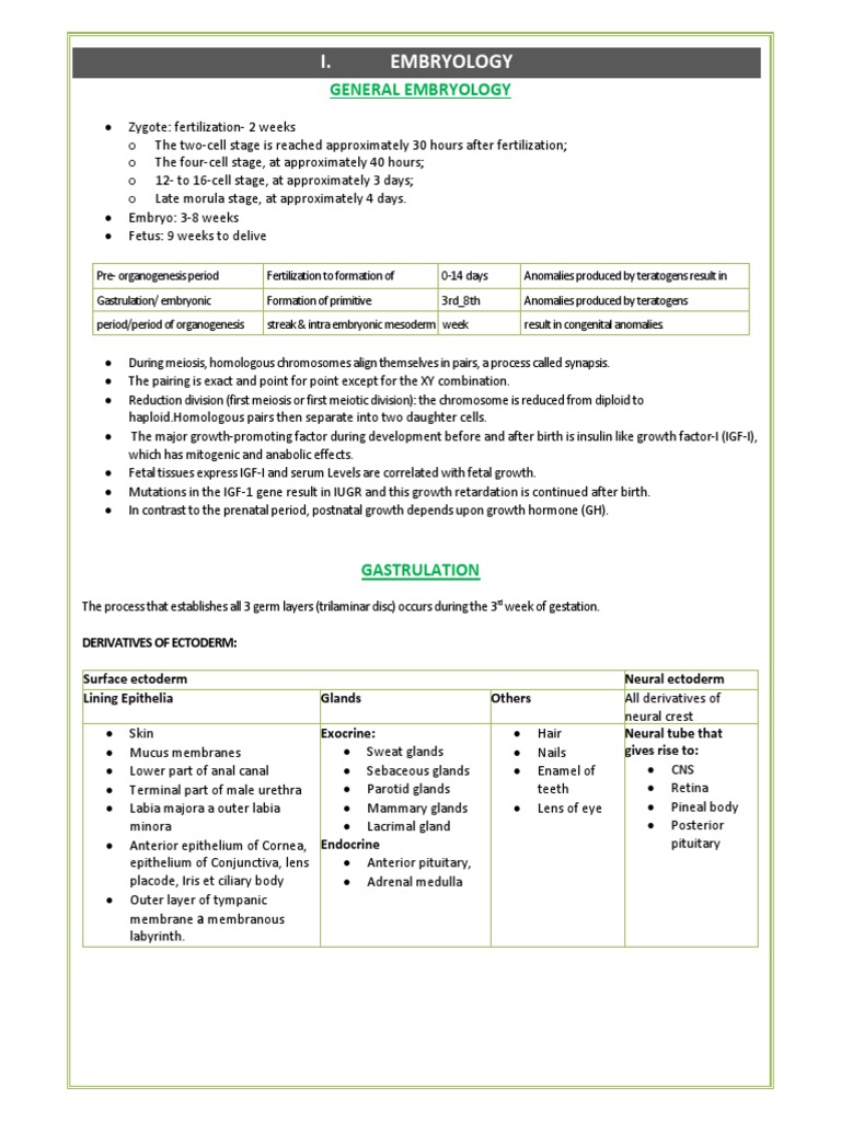 Embryology Revision Notes | PDF | Aorta | Vein