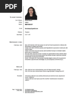 CV Format Shqip | PDF