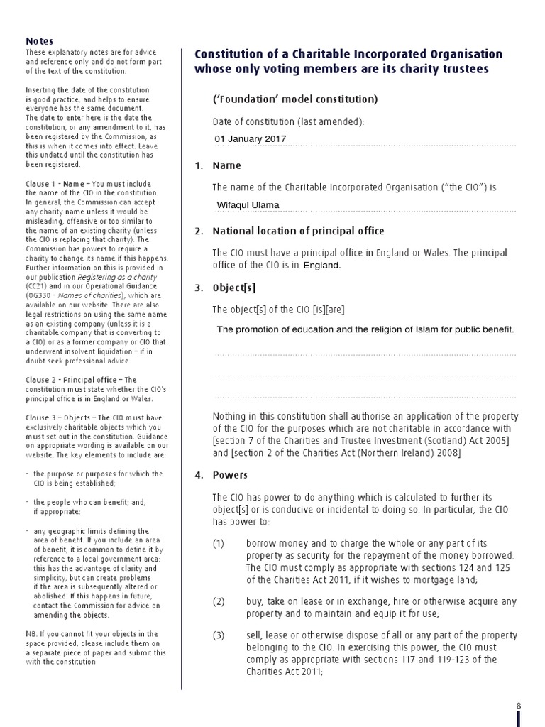 Foundation Model Constitution | PDF | Trustee | Charitable Organization