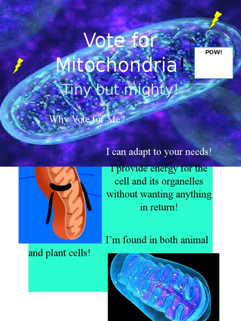 Cell Campaign Poster Mitochondria | PDF