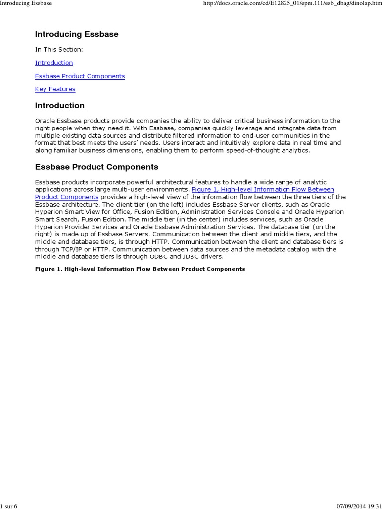 Introducing Essbase: Essbase Product Components Key Features | PDF | Oracle Database | Databases