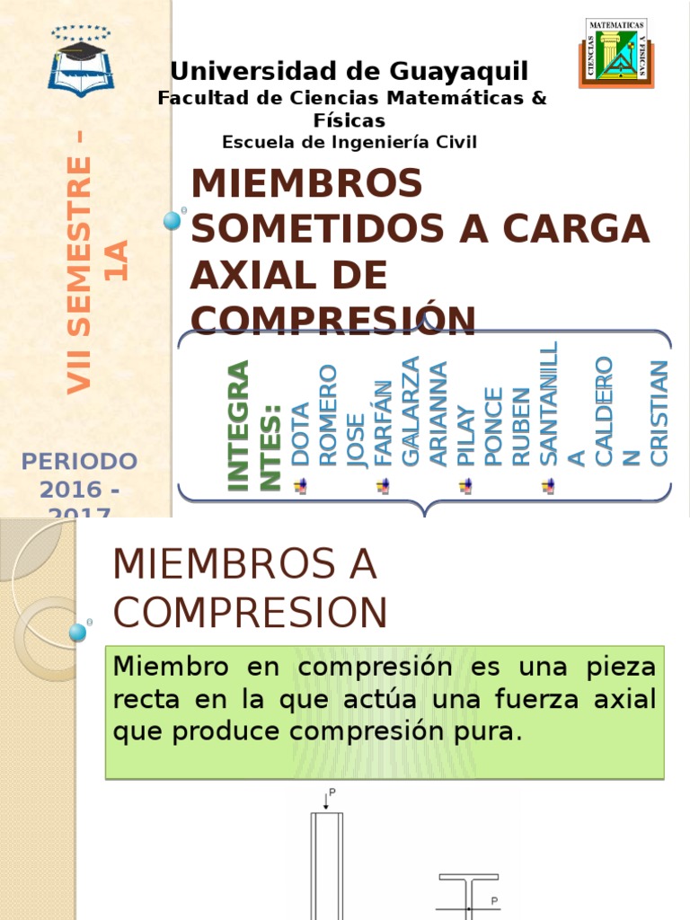 Elementos A Compresion | PDF | Pandeo | Elasticidad (Física)