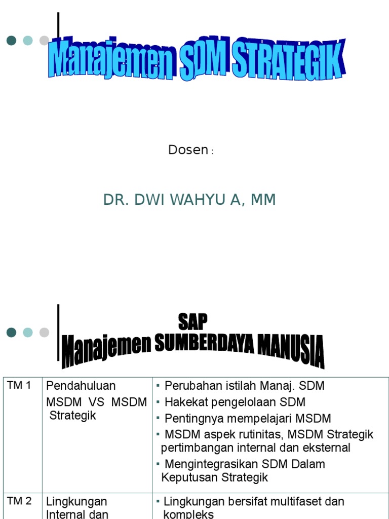 SAP MSDM Strategik | PDF