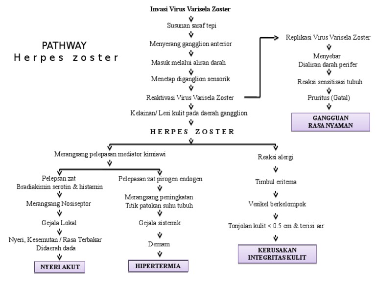Pathway Herpes Zoster