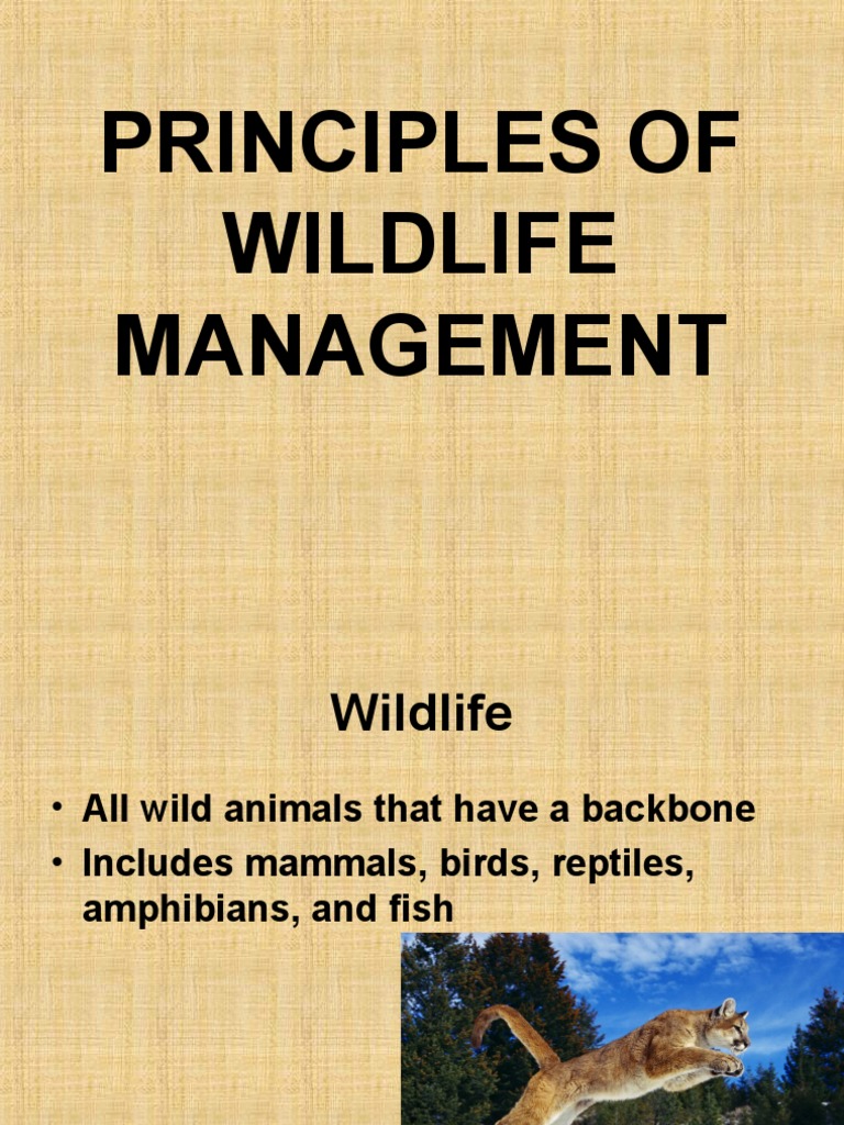 Wildlife Management Presentation | PDF | Wildlife | Ecology