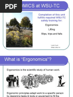 MBOT Renewal & CPD Guidelines | PDF | Professional Development | Diploma