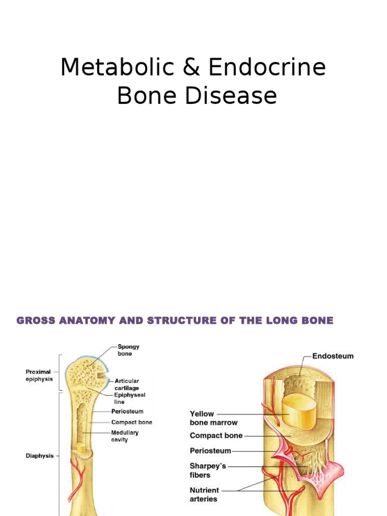 Metabolic & Endocrine Bone Disease | PDF | Bone | Endocrine System