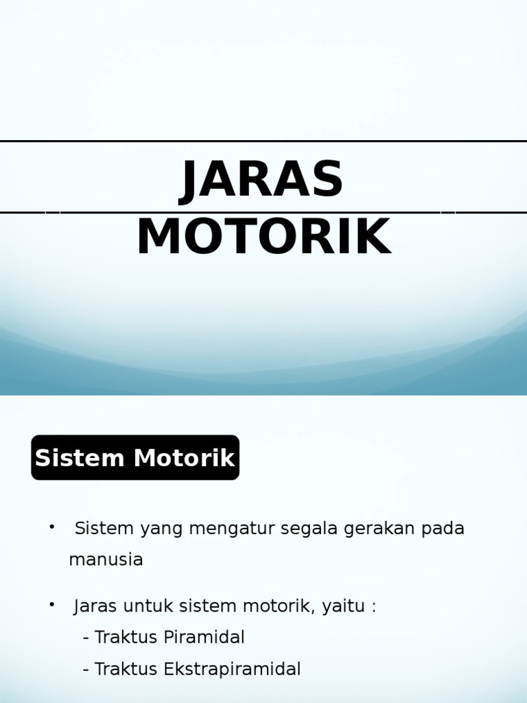Jaras Motorik Sensorisk | PDF