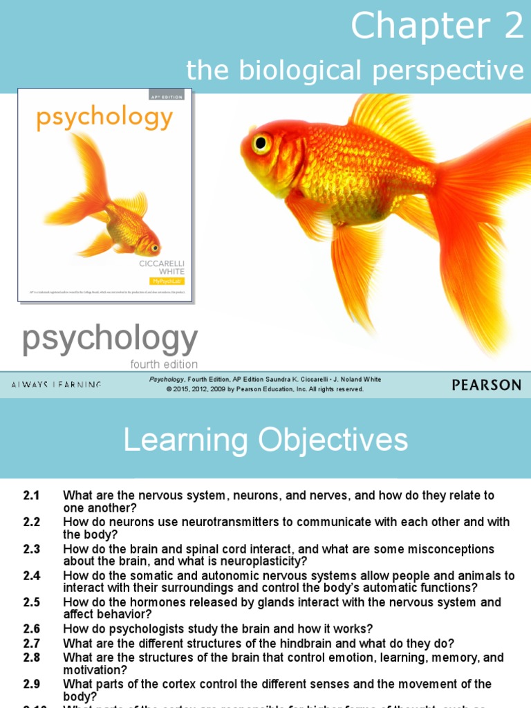 The Biological Perspective: Psychology | PDF | Neuron | Action Potential