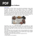 Tekstur dan Struktur Batuan Sedimen Non Klastik | PDF