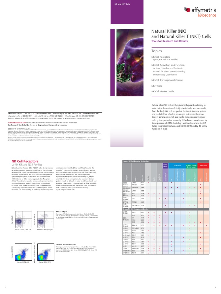 NK & NKT Cells - Markers PDF | PDF | Natural Killer Cell | Immune System