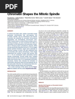 How To Write A Nature Abstract | PDF | Microtubule | Cellular Processes