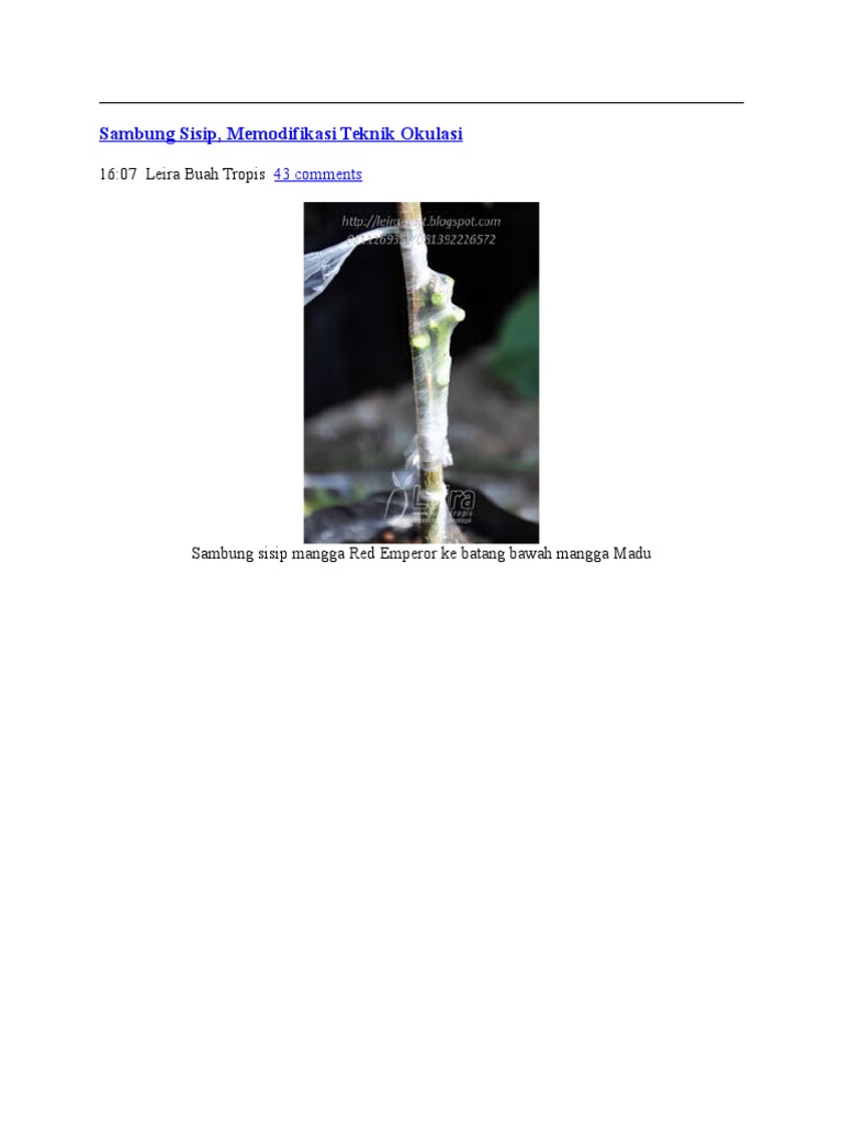 Sambung Sisip | PDF