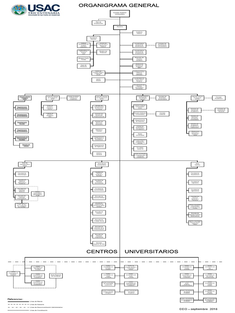 Organigrama Usac | Universidad | Science