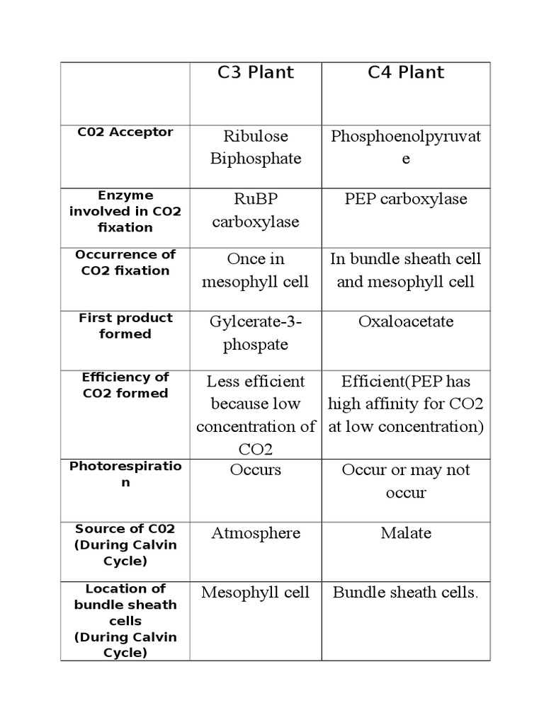 STPM Biology Past Year Question | PDF | Photosynthesis | Chlorophyll