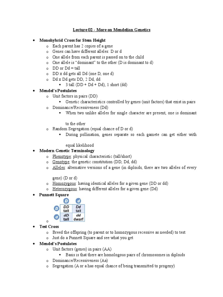 Mendelian Genetics Overview | PDF | Dominance (Genetics) | Meiosis