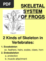 Endoskeleton of Frog (With Diagram) : The Endoskeleton Is Described ...