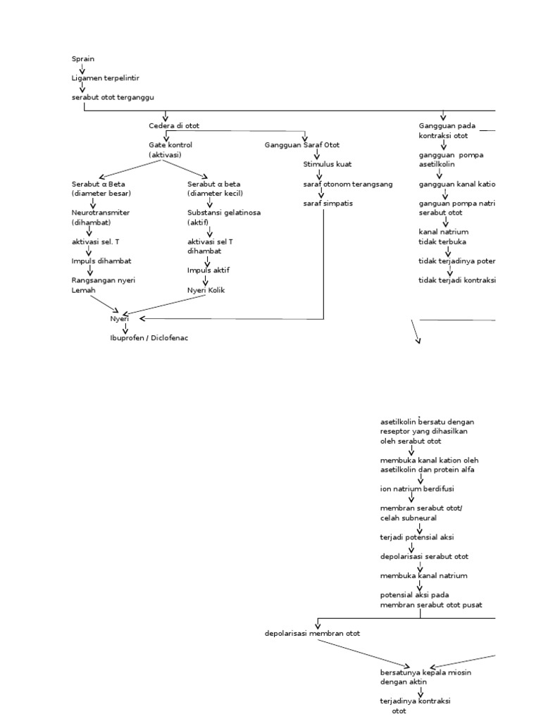 Pathway Gadar Sprain-Strain | PDF