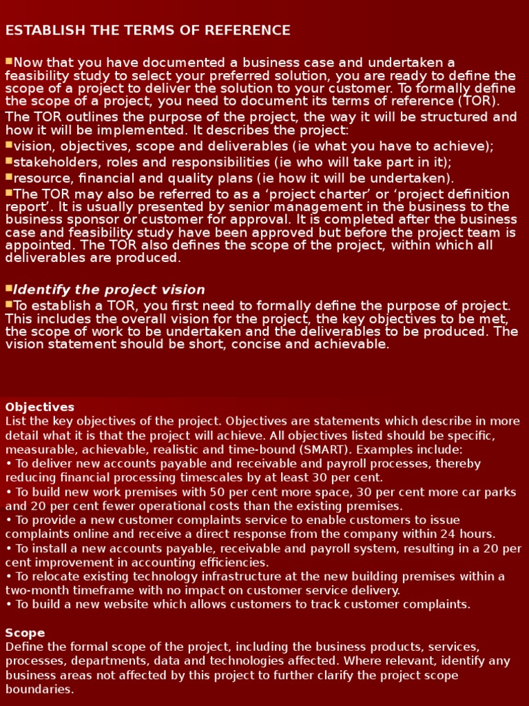 Establish The Terms of Reference: Identify The Project Vision | PDF ...