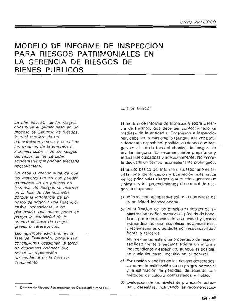 Modelo De Informe Riesgo Pdf Toma De Decisiones Negocios General