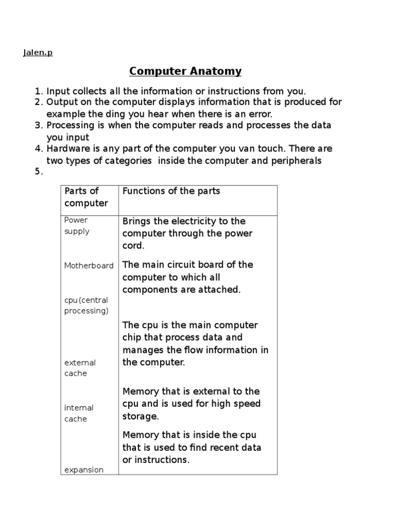 Computer Anatomy | PDF