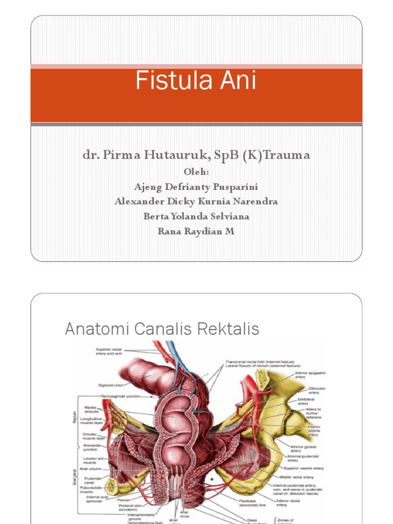 Types Of Fistula In Male _ Perianal fistula – DHSFK