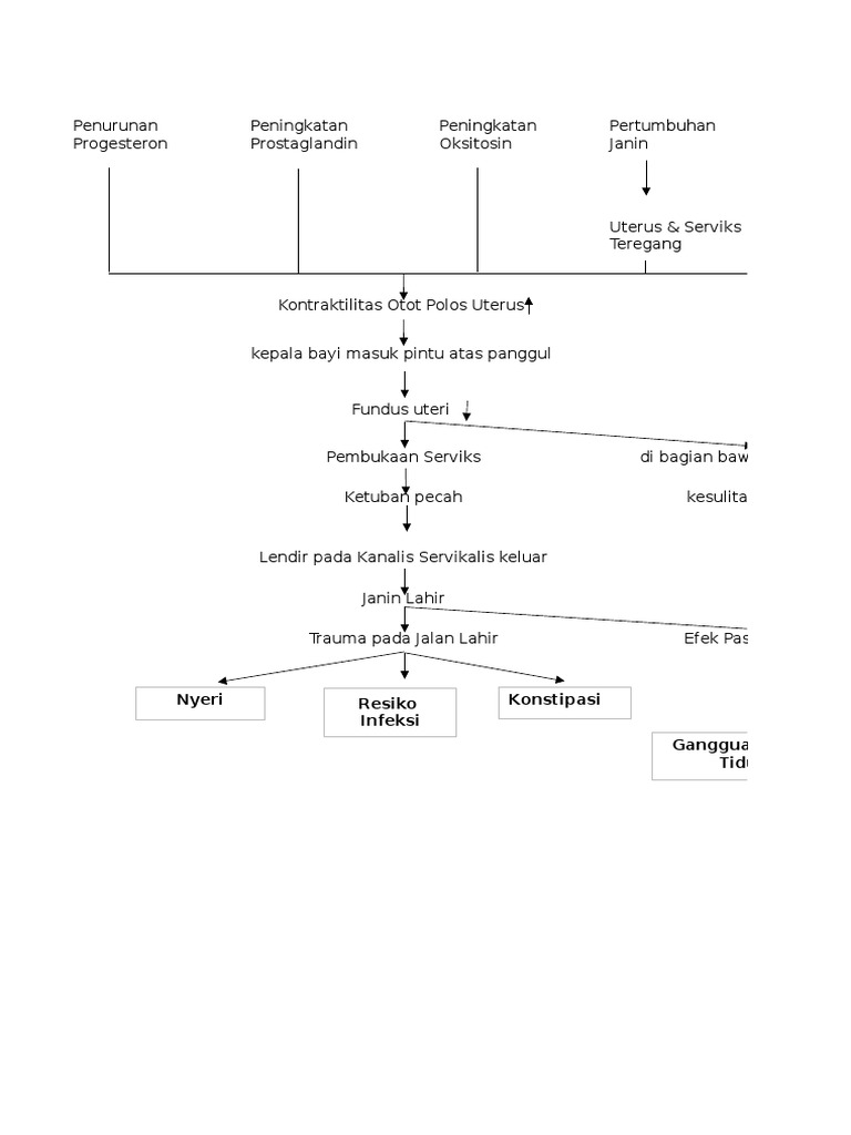 Pathway Postpartum Spontan | PDF | Pengembangan Diri