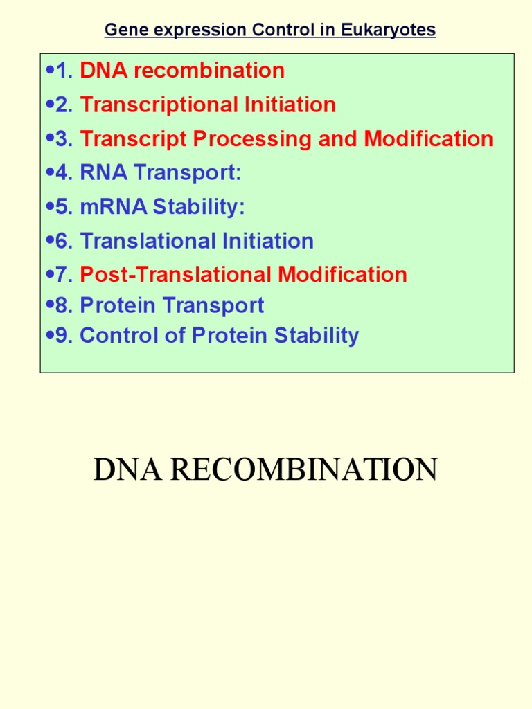Eukaryote Regulation of Gene Expression | PDF | Regulation Of Gene ...