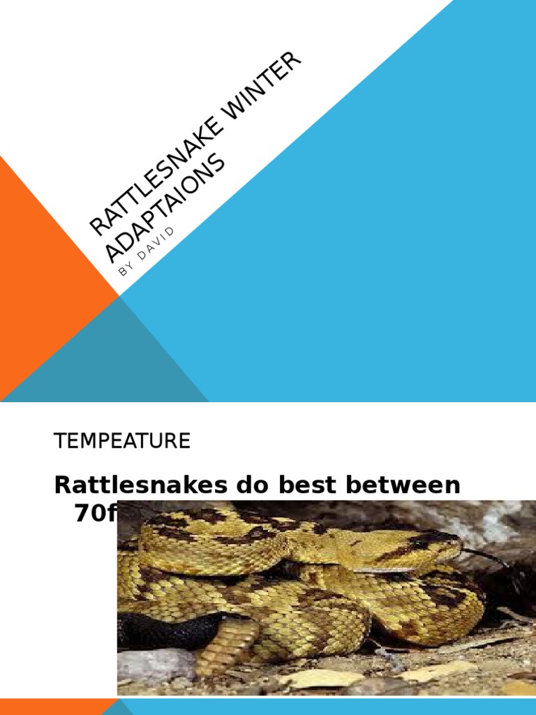 Rattlesnake Habitat and Behavior Guide | PDF