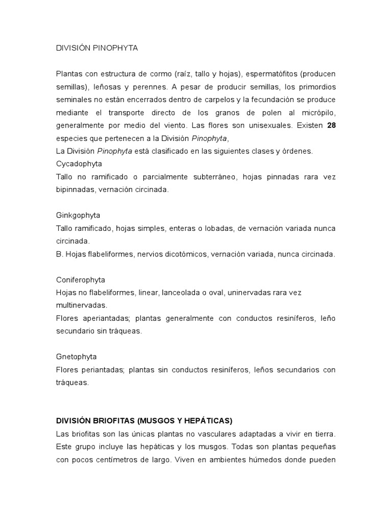 División Pinophyta | PDF