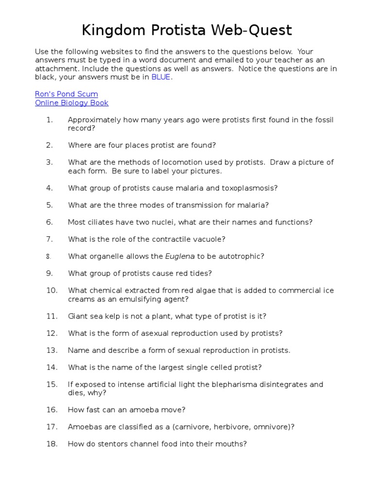 Kingdom Protista Web | PDF | Science & Mathematics