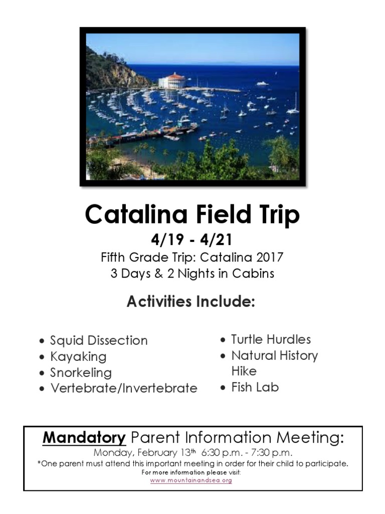 Catalina Flyer 2017 Revised | PDF