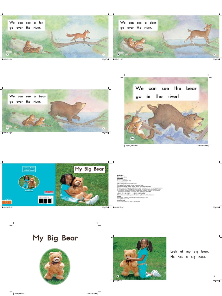 My Big Bear: We Can See The Bear Go in The River! | PDF