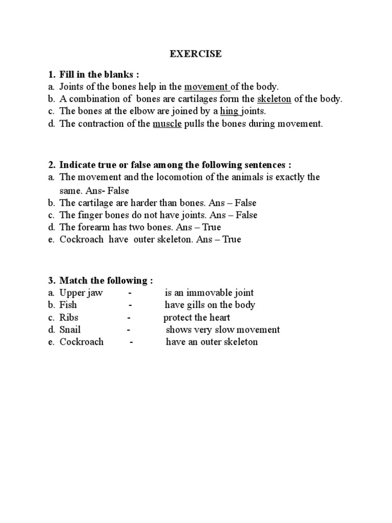 Exercise 1. Fill in The Blanks | PDF