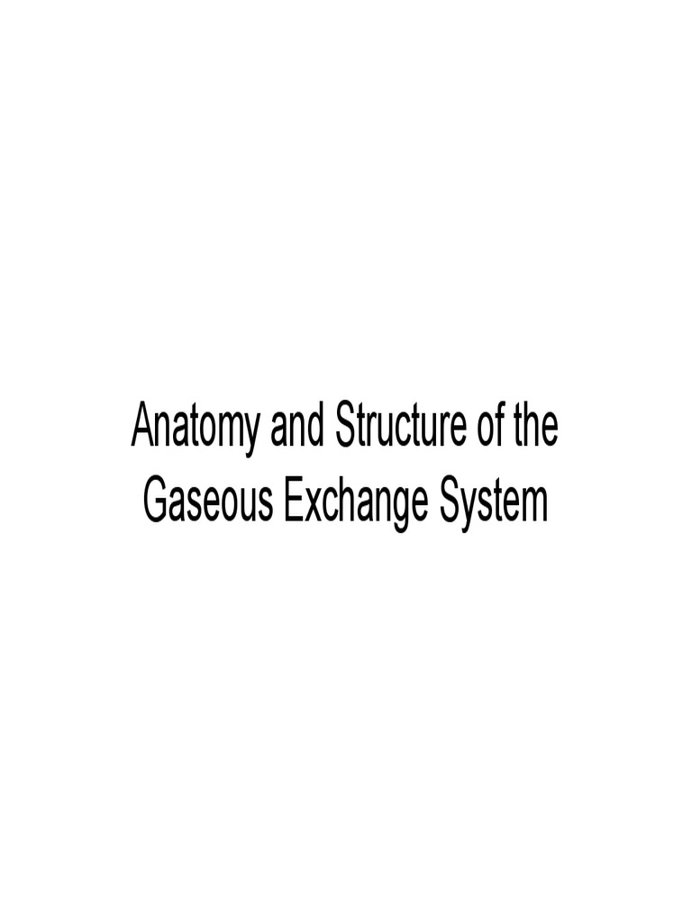 9A - Gas Exchange and Smoking PDF | PDF