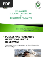 V8 Panduan Penyelenggaraan Pustu - Kemenkes | PDF