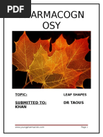 Leaf and Leaflet Morphology Guide | PDF | Leaf | Branches Of Botany