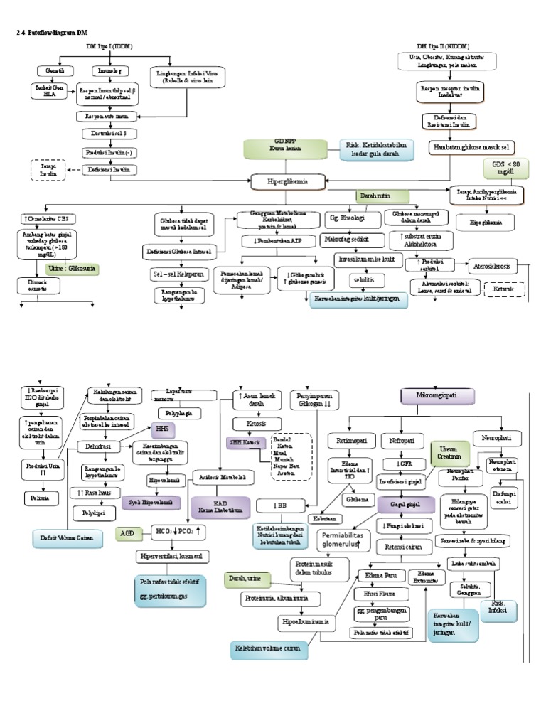 Patoflow DM Benar | PDF